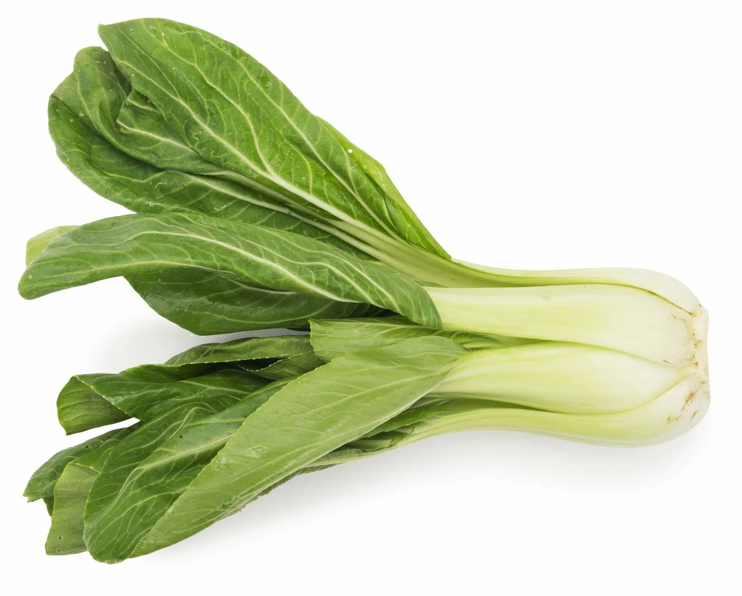 Substitute for Bok Choy