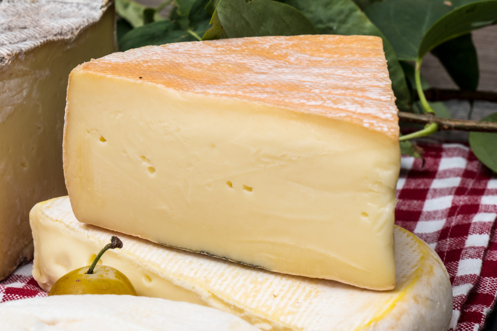 Comte Cheese Substitute