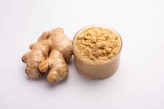 Ginger Paste Substitutes