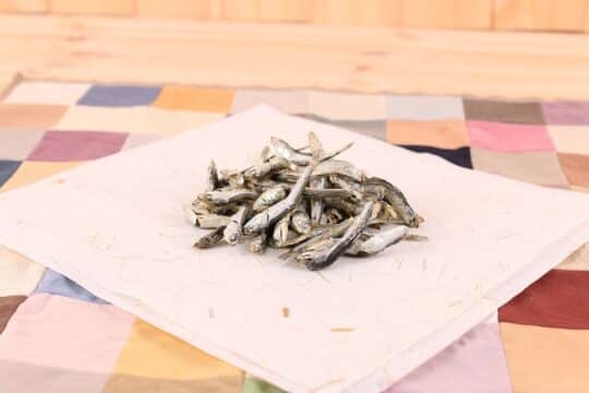 What Do Anchovies Taste Like? - BlogChef