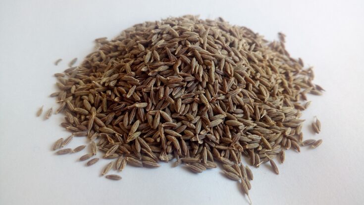 What does cumin taste like? - BlogChef