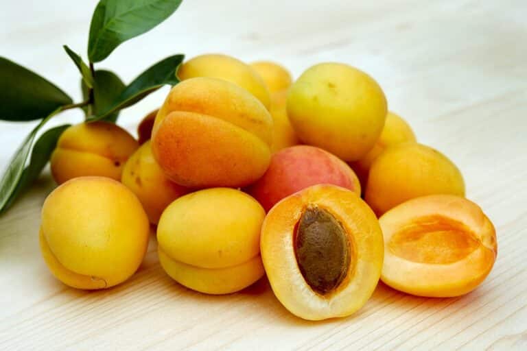 What do apricots taste like? - BlogChef