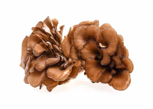 How to Cook Maitake Mushrooms