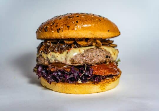 Is the Impossible Burger Patty Vegan? - BlogChef