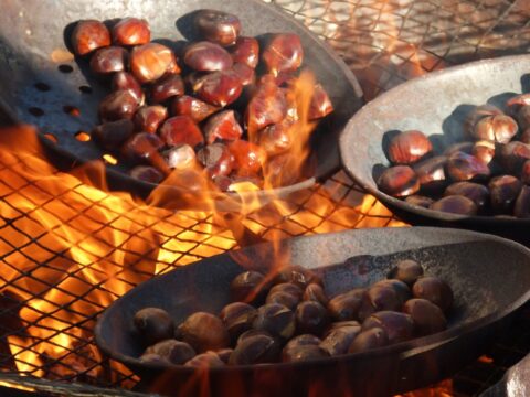 What Do Roasted Chestnuts Taste Like?