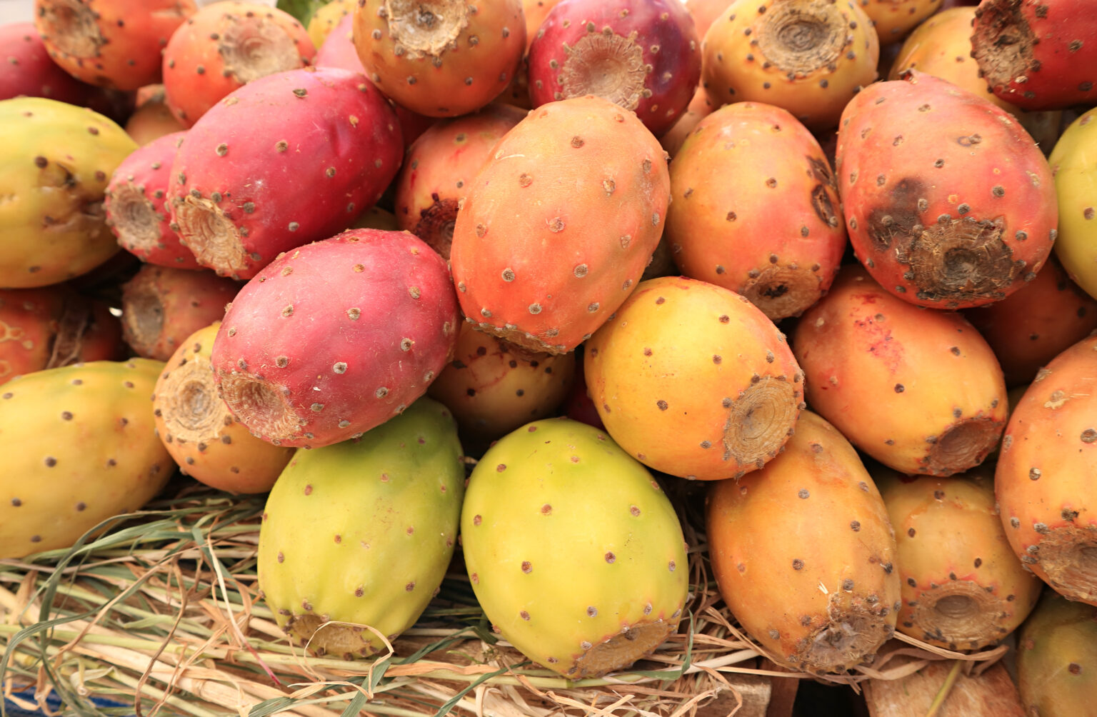 What Does Prickly Pear Taste Like Blogchef